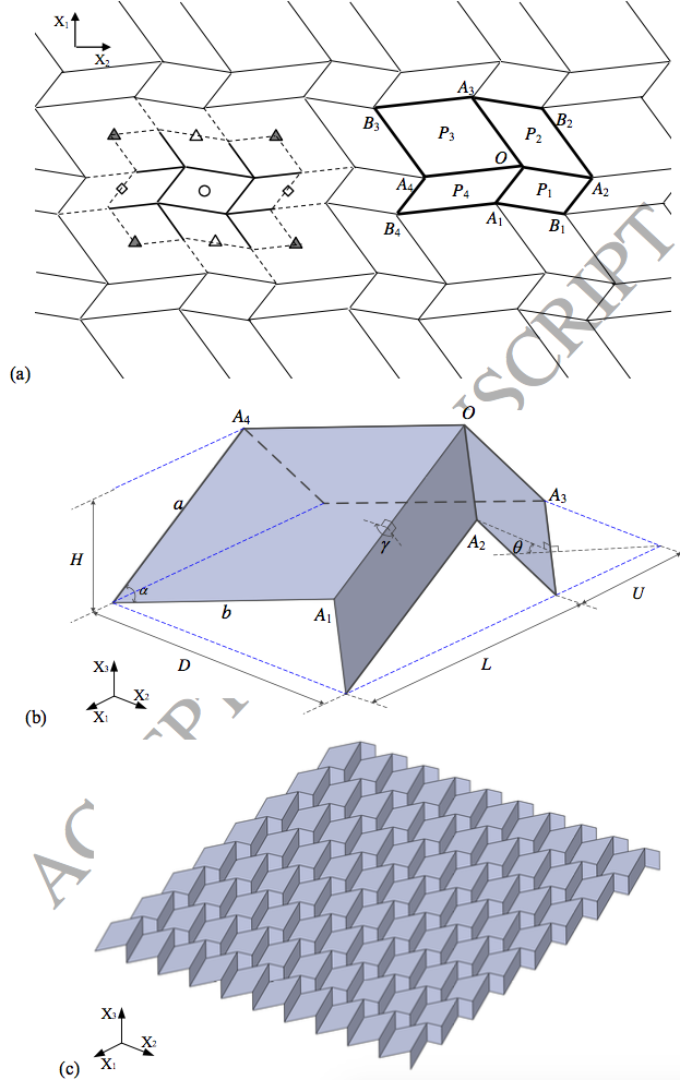 Origami B Cells Stony_Brook IGEM 2022